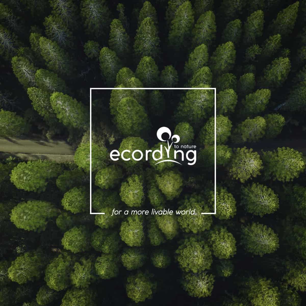 Home - ecording